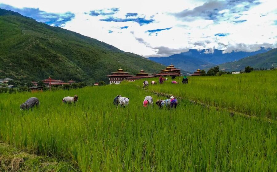 13 Must-Visit Sites in Thimphu | A Comprehensive Guide